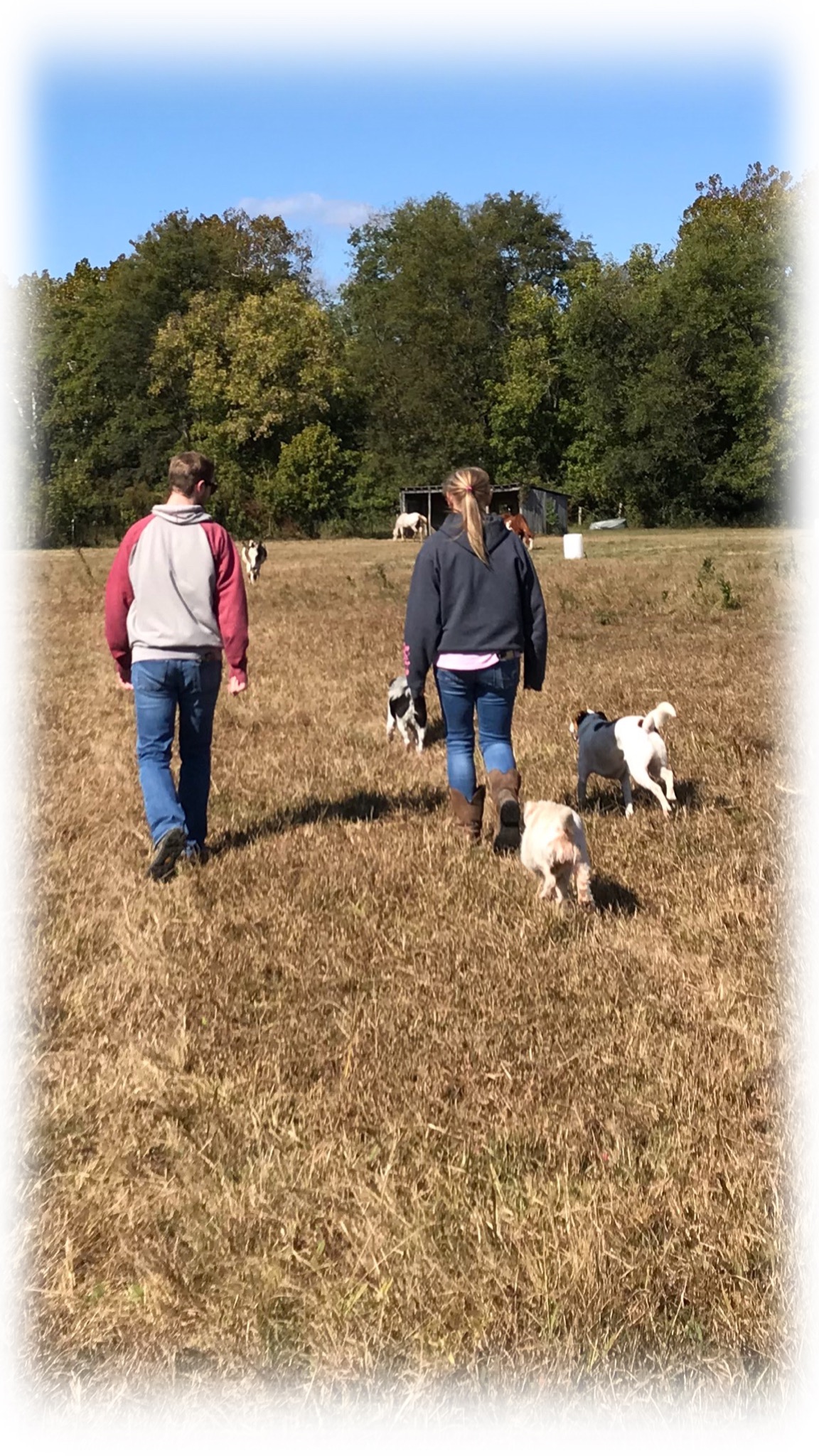 He prowls around… | KeziahCarrie